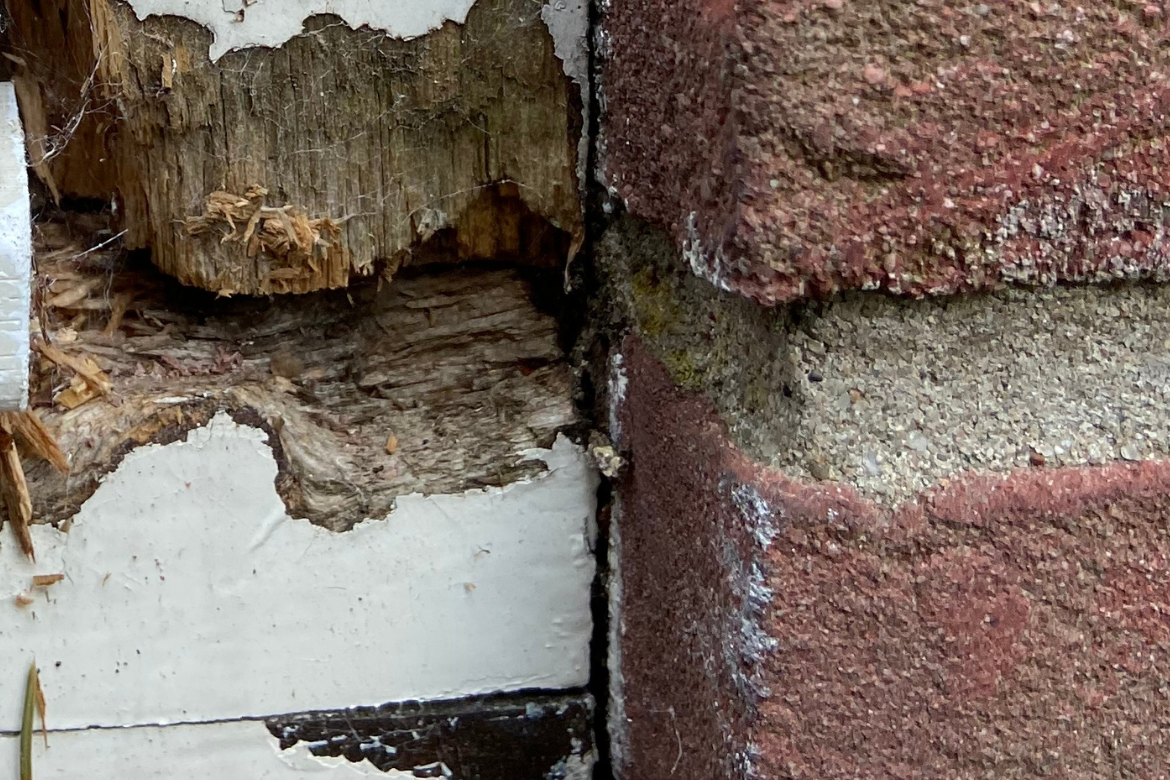 Houtrot herstel werkzaamheden aan huis laten uitvoeren - Woningpartner.nl